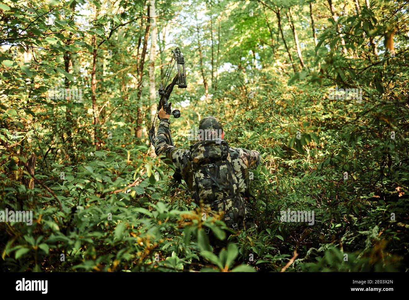 Kevin bear hunting in the Berkshires of Massachusetts Stock Photo - Alamy