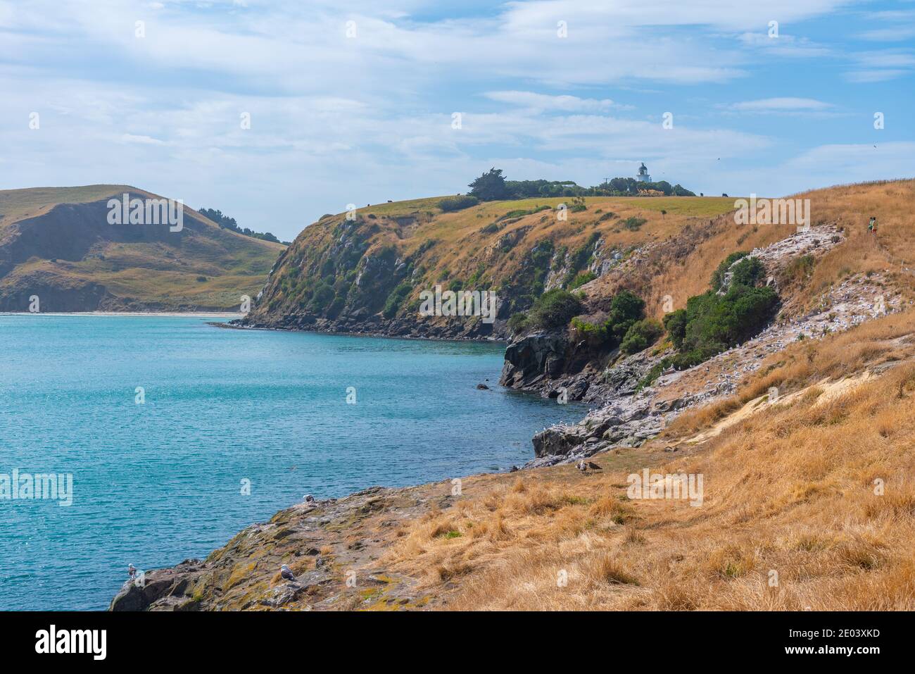 Landscape of Katiki point in New Zealand Stock Photo - Alamy