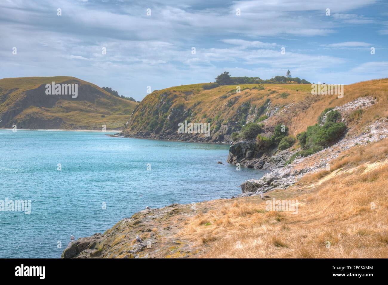 Landscape of Katiki point in New Zealand Stock Photo - Alamy