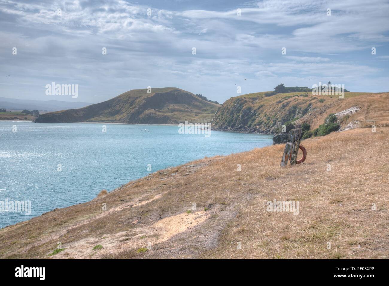 Landscape of Katiki point in New Zealand Stock Photo - Alamy