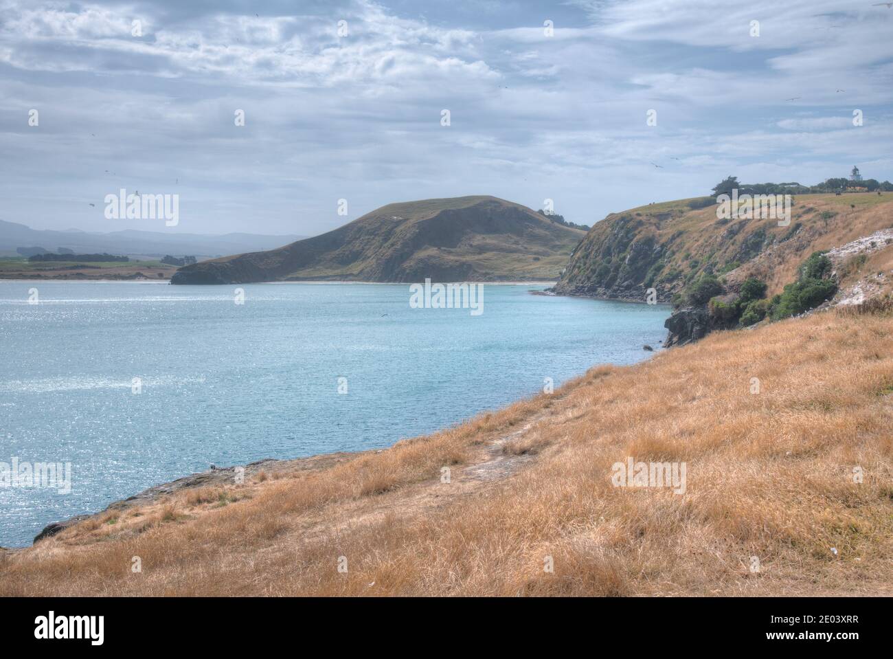 Landscape of Katiki point in New Zealand Stock Photo - Alamy