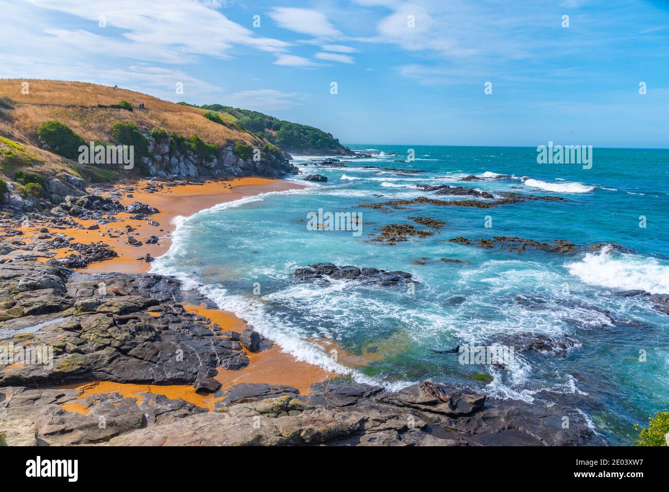 Beach at Katiki point in New Zealand Stock Photo - Alamy
