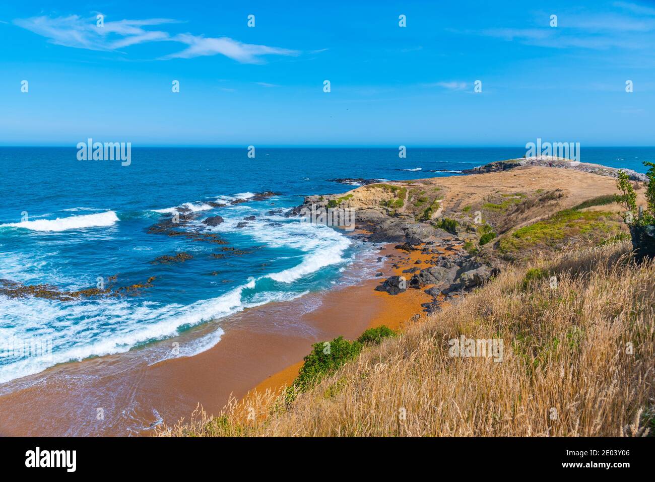 Beach at Katiki point in New Zealand Stock Photo - Alamy