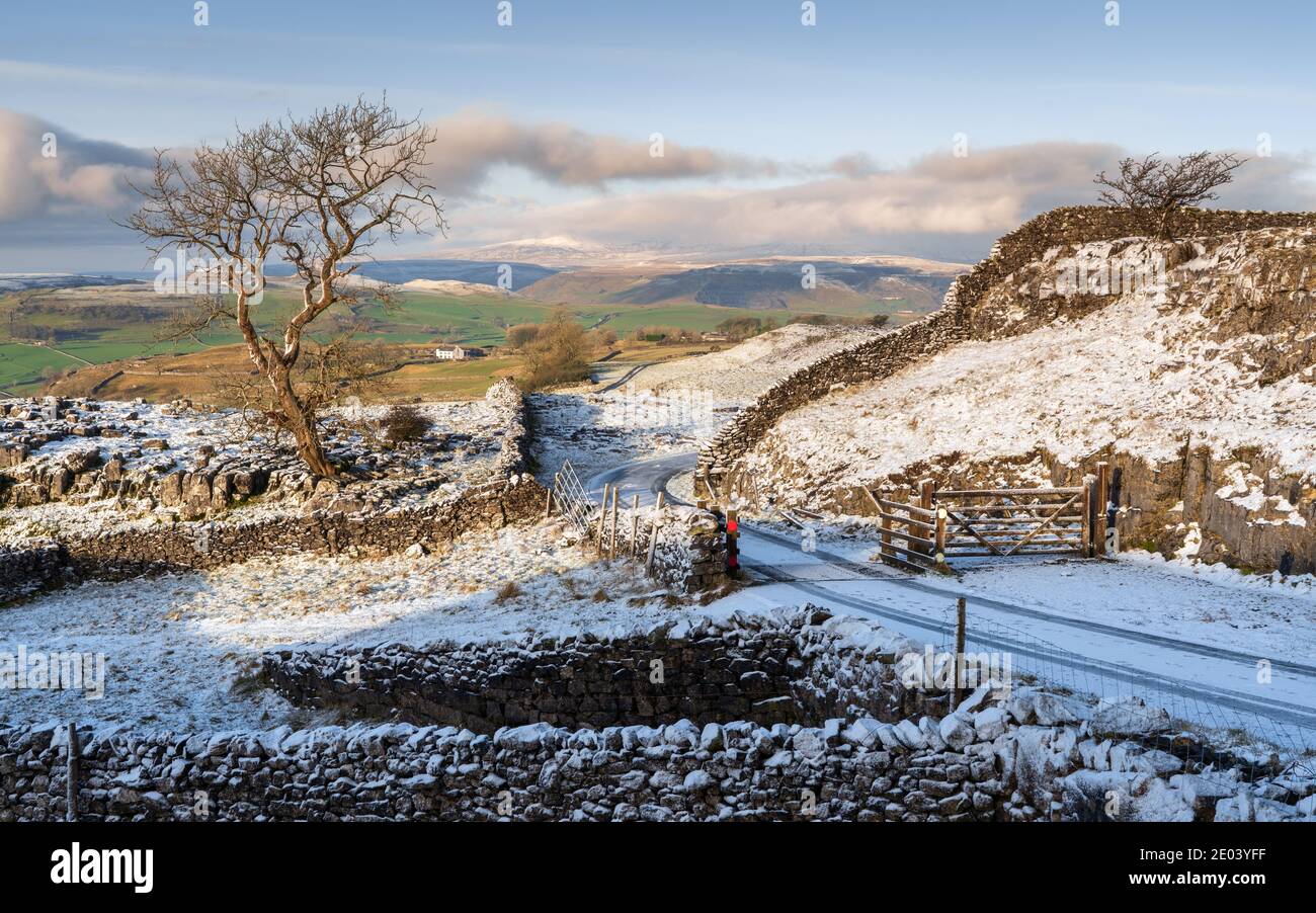 Winskill nature reserve hi-res stock photography and images - Alamy