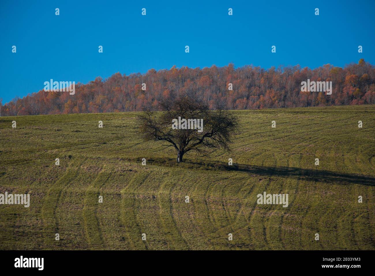 Cetral europe hi-res stock photography and images - Alamy