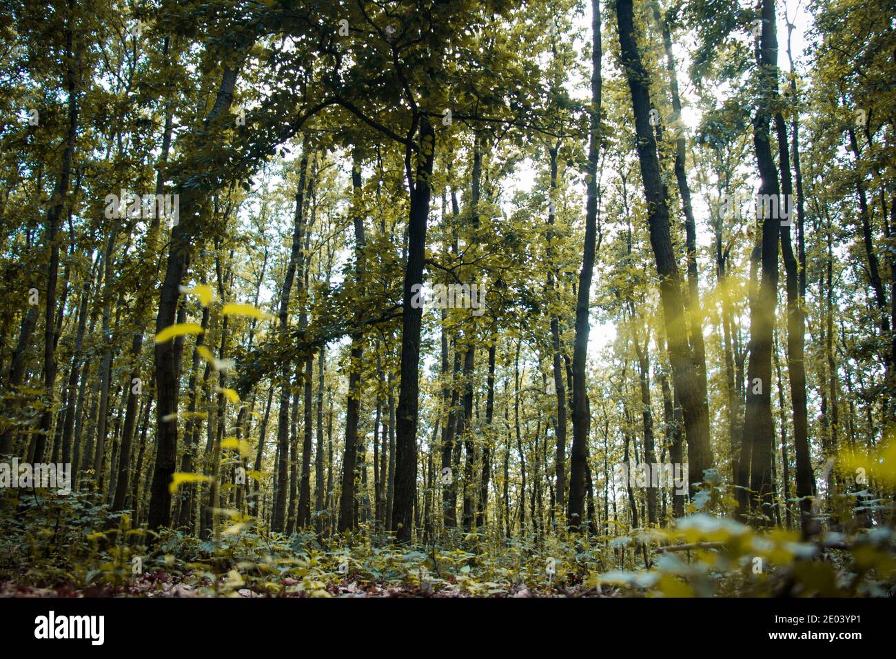 Cetral europe hi-res stock photography and images - Alamy