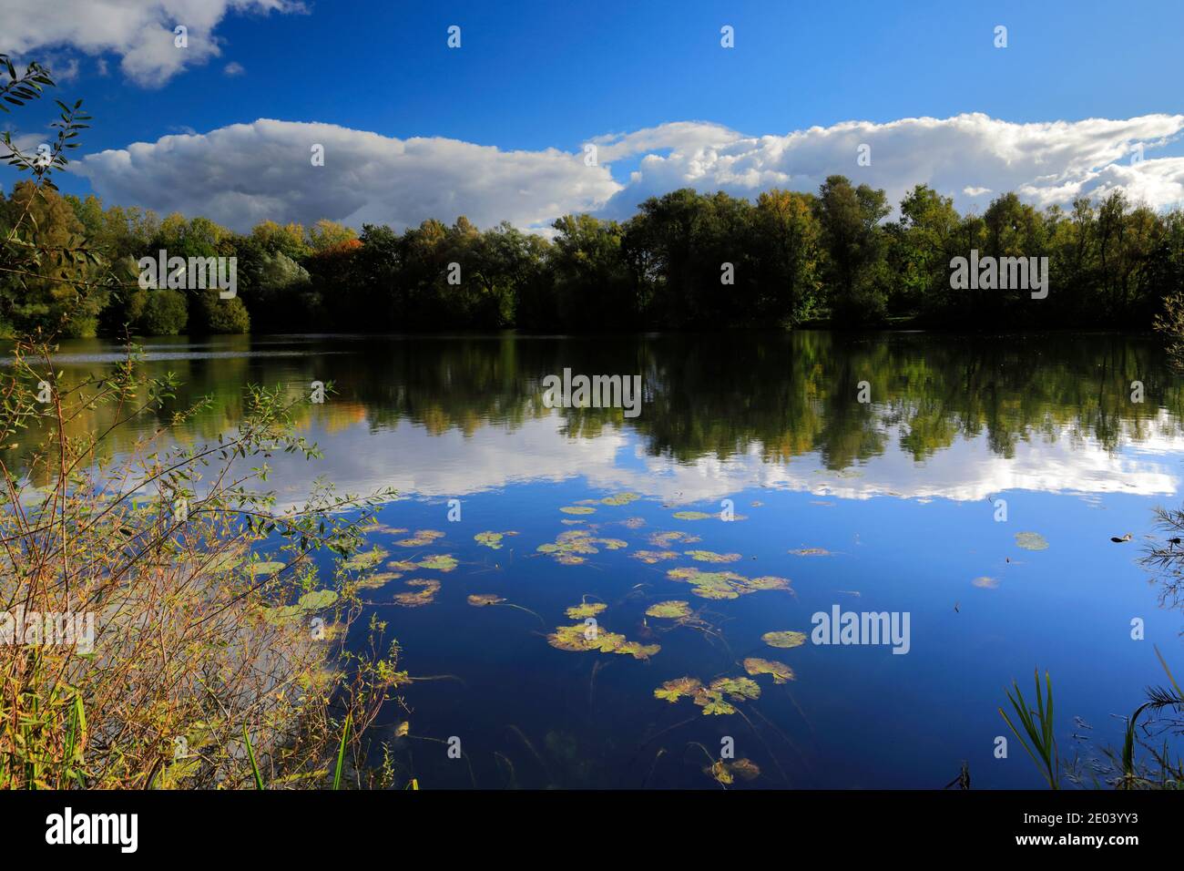 Autumn colours over the lake at Barnwell Country Park, Oundle town ...
