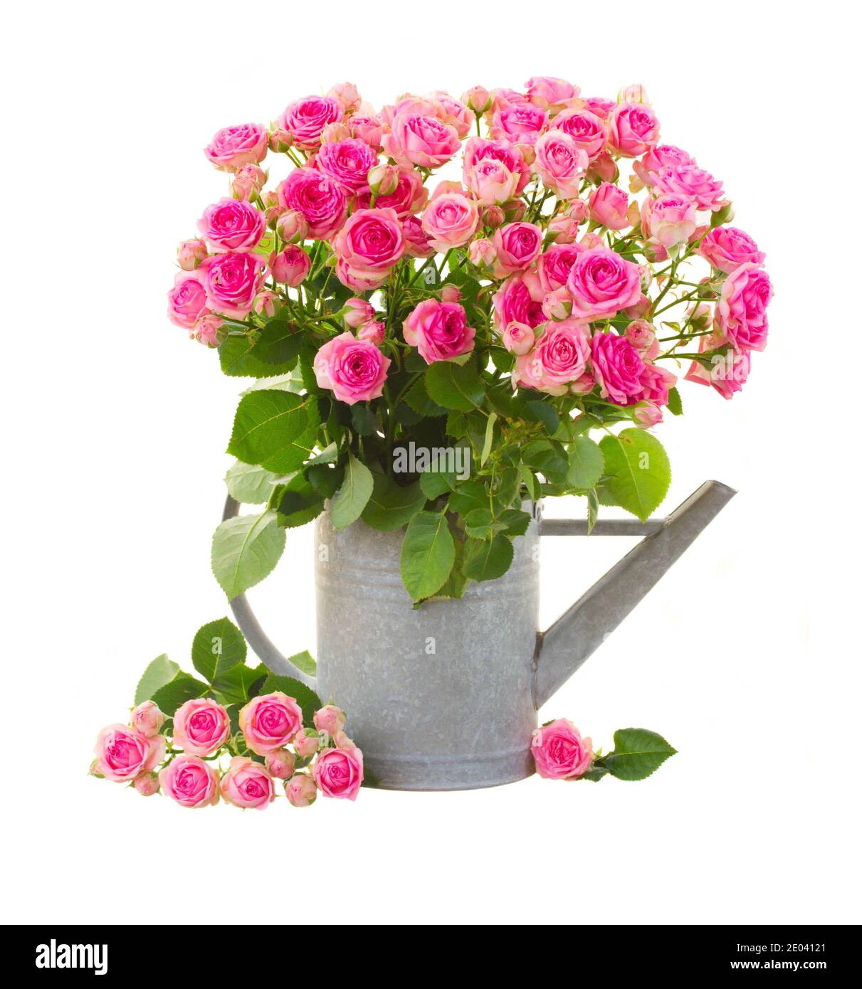 Roses bouquet tag hi-res stock photography and images - Alamy