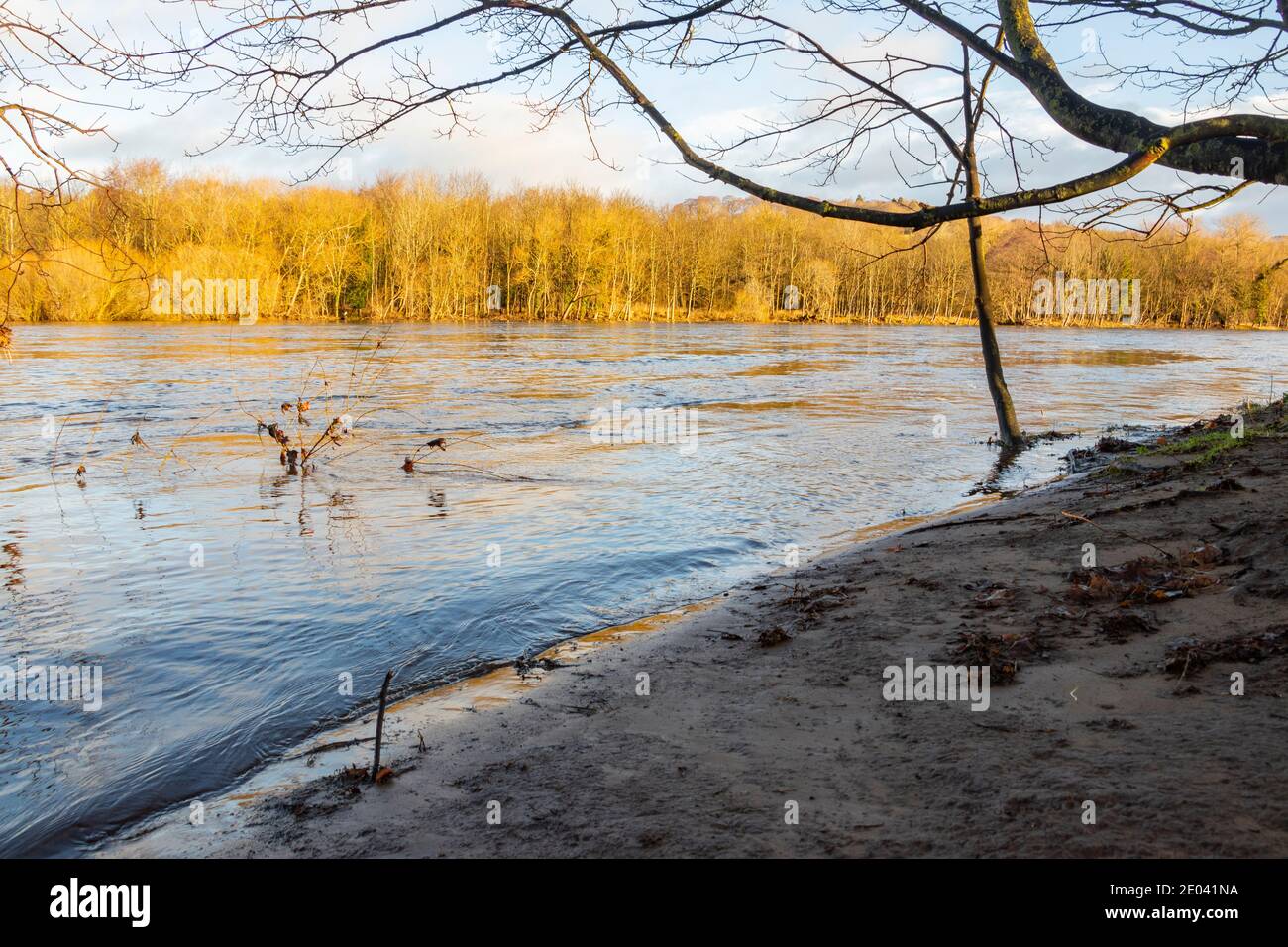 river Tyne Hexham northumberland Stock Photo - Alamy