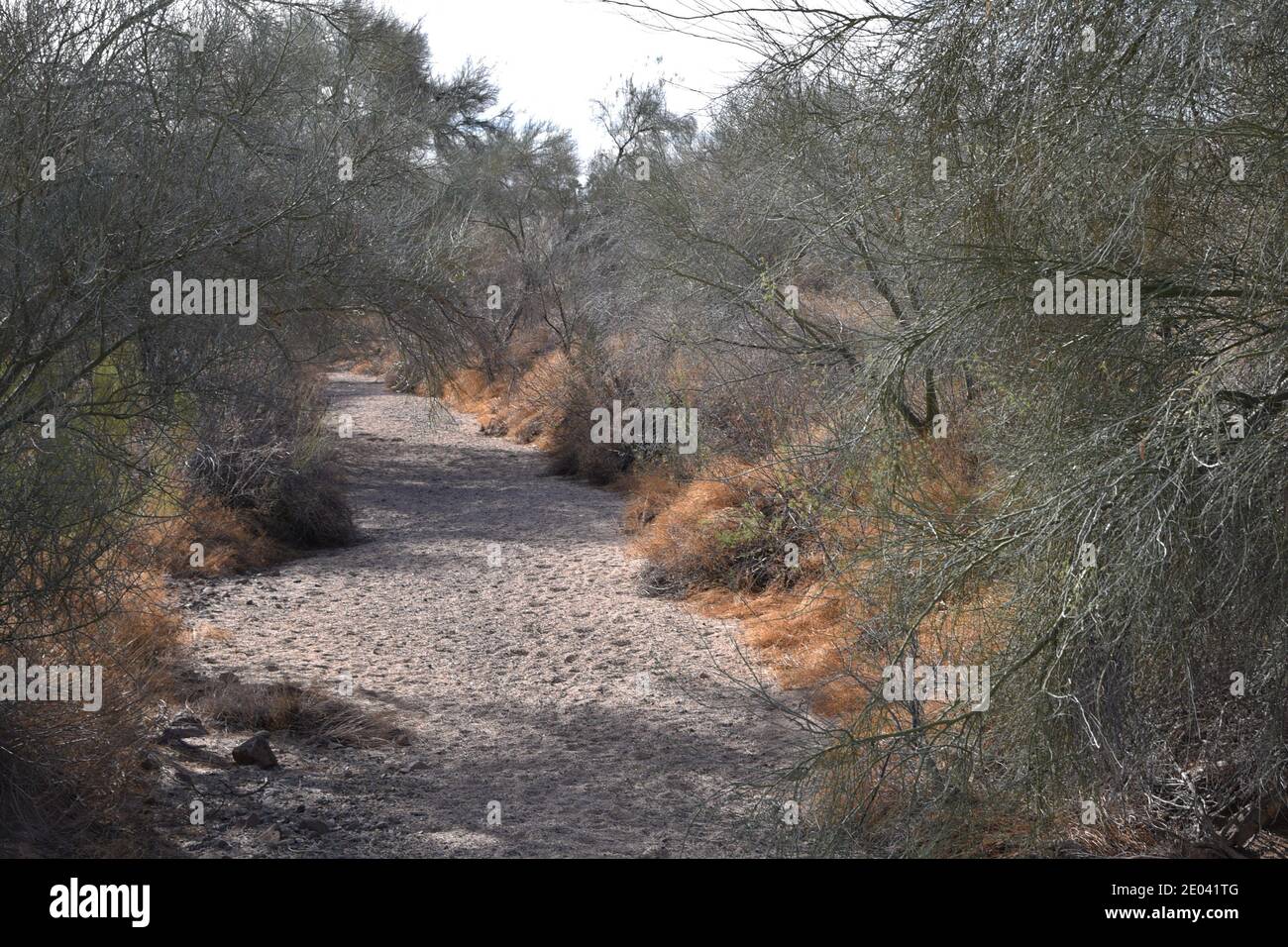 Dry stream in the desert Stock Photo - Alamy