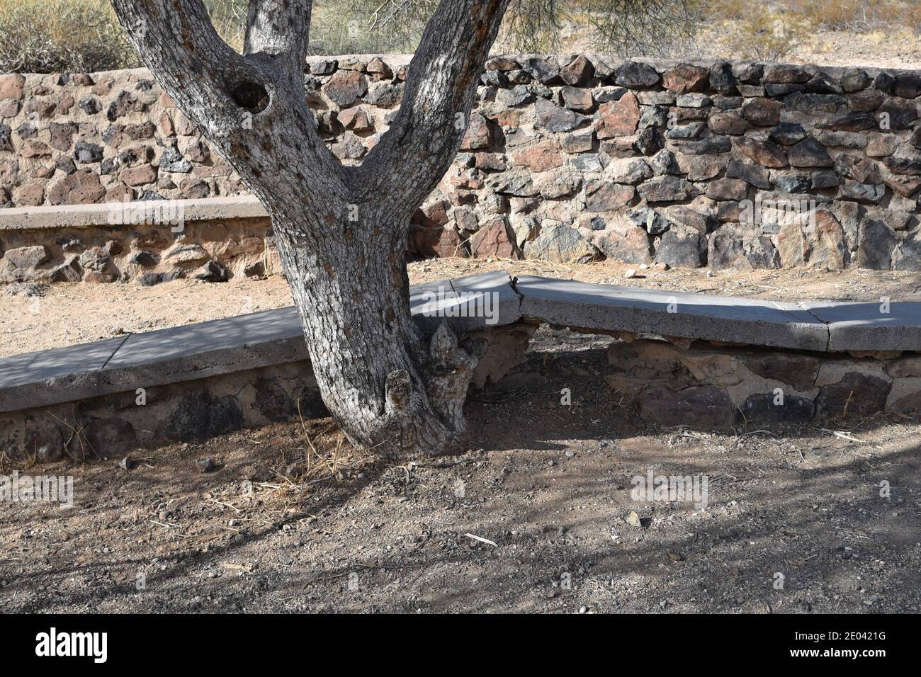 Damage from tree roots hi-res stock photography and images - Alamy