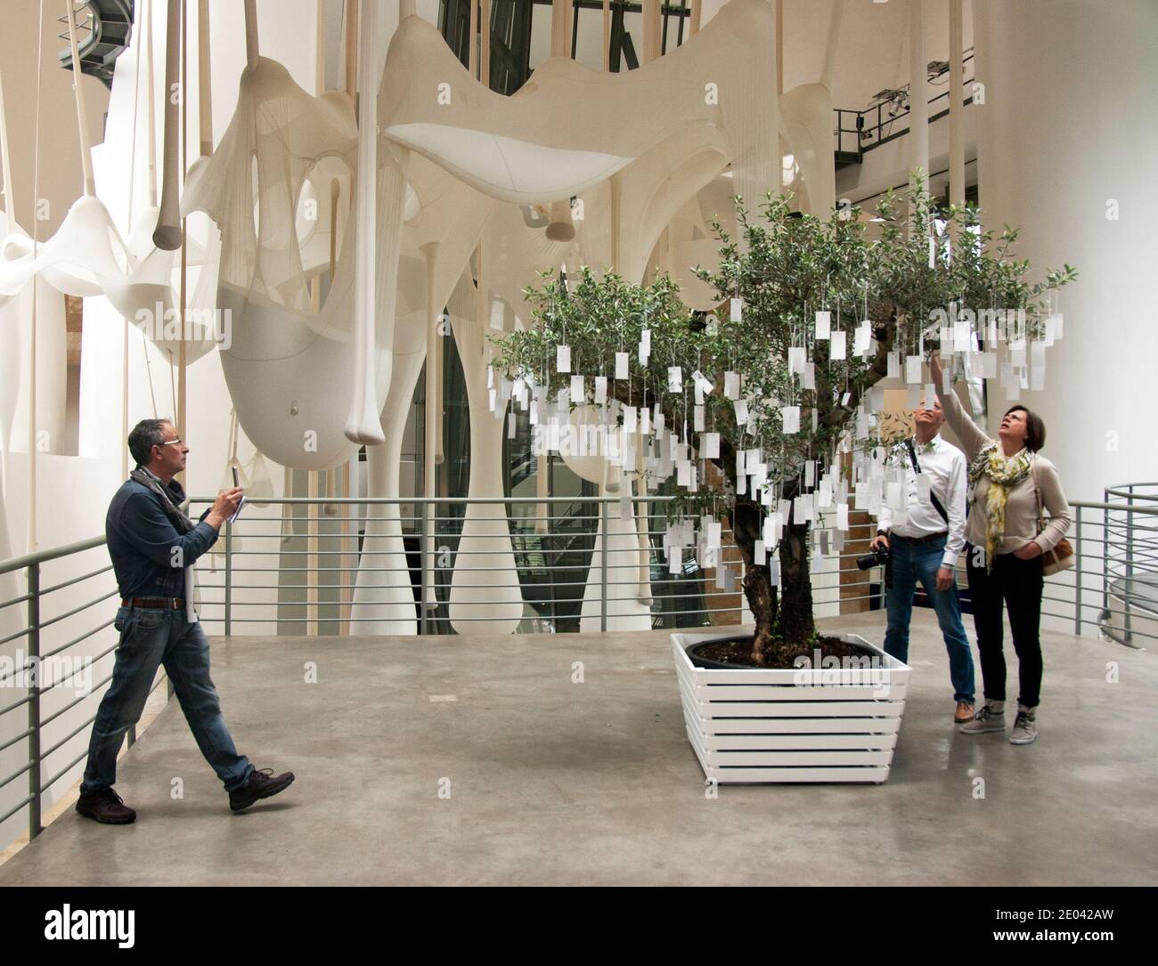 Visitors hang paper cards to commemorate their visit to the olive tree ...