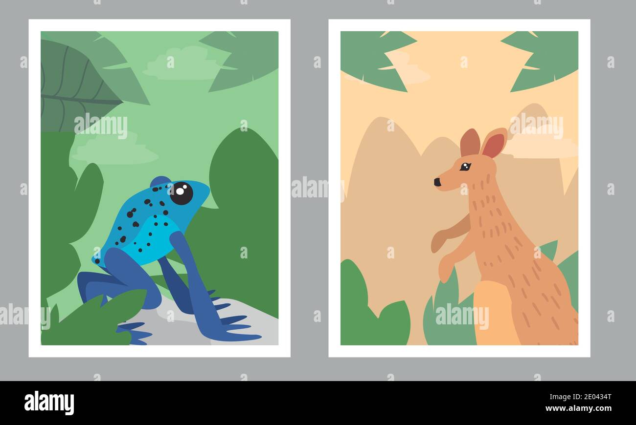 frog and kangaroo in landscape frames design, Animal zoo and life theme ...