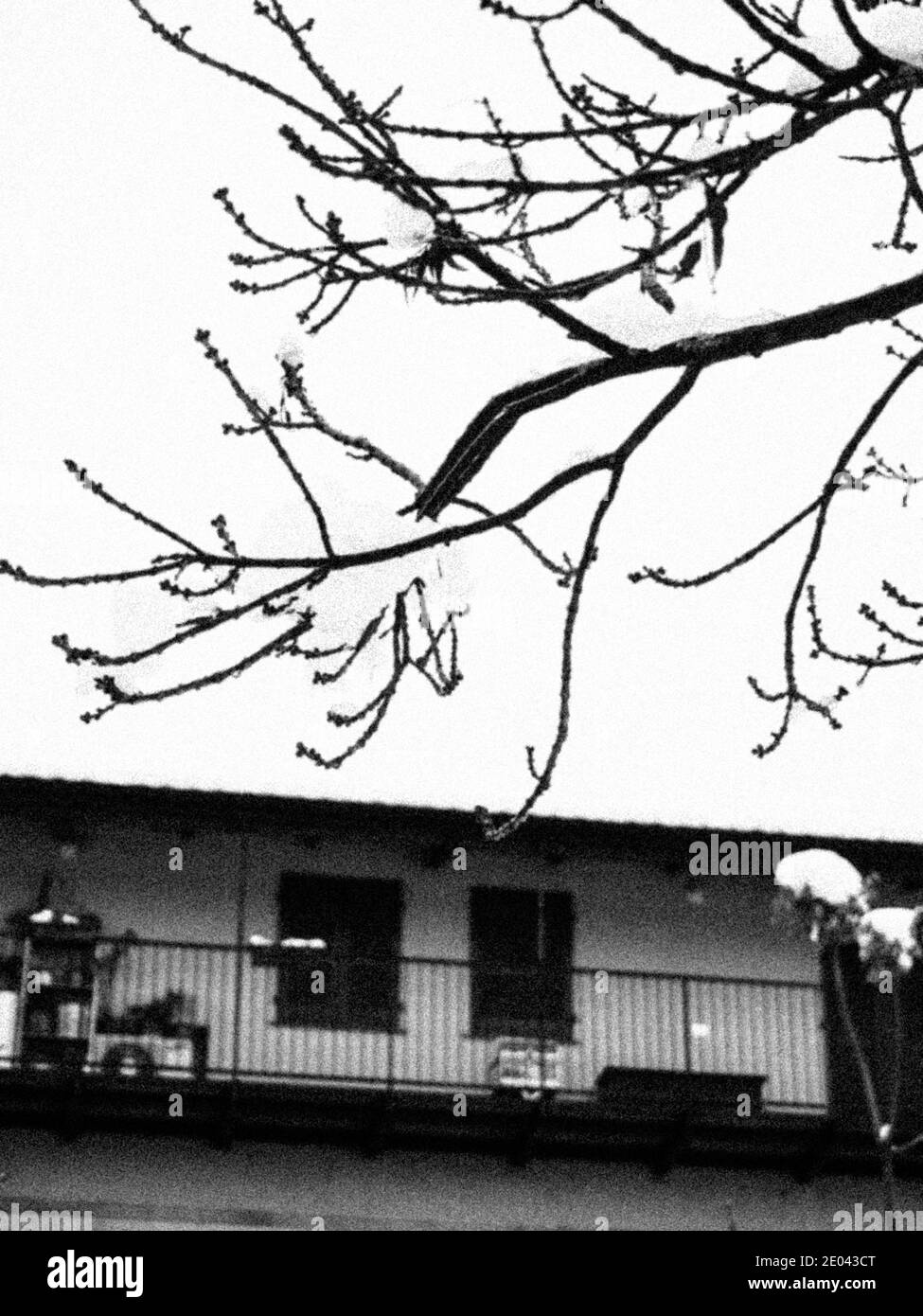 Neve milano hi-res stock photography and images - Alamy