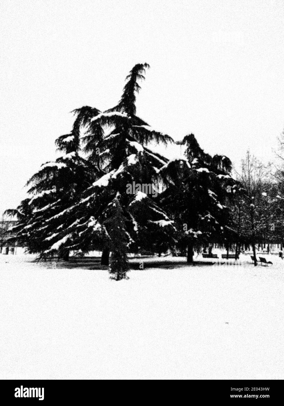 Neve milano hi-res stock photography and images - Alamy