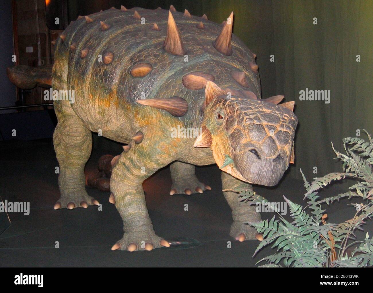 Front view of an Ankylosaurus at the Dino Jaws Exhibition in 2006 at ...