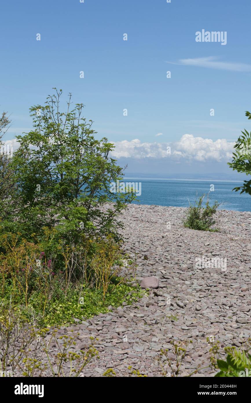 Porlock Weir beach in England Stock Photo - Alamy