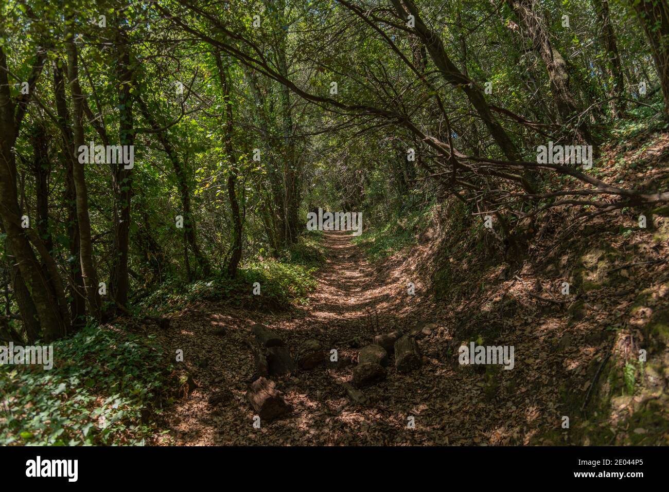 Path to Santa Margarida Volcano. Natural Park of La Garrotxa volcanic ...