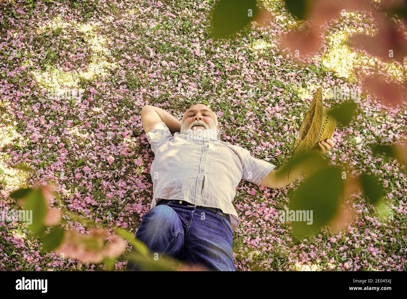 Pleasant spring day. man under cherry blooming tree. old man enjoy ...
