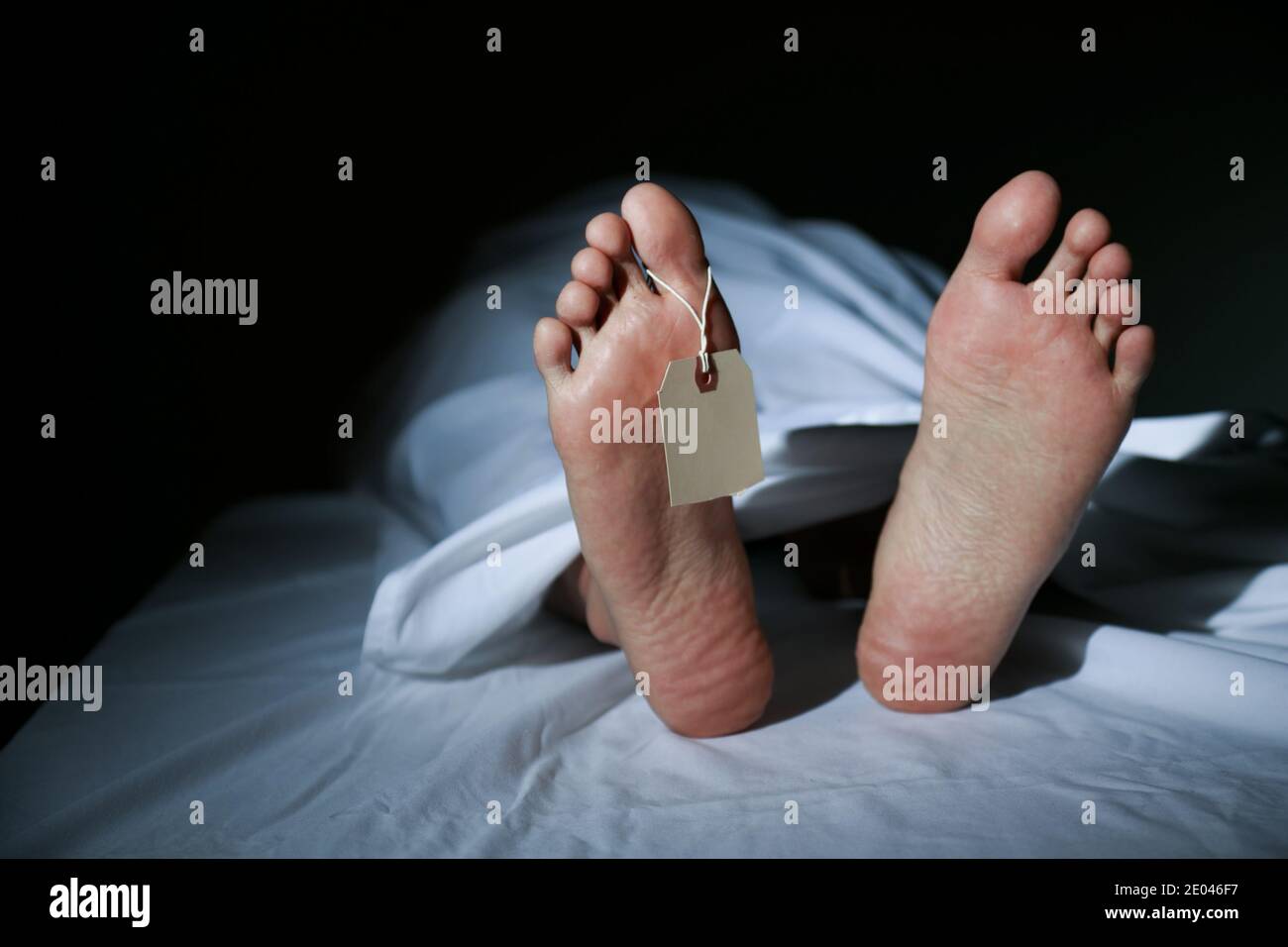 Morgue Feet High Resolution Stock Photography and Images - Alamy