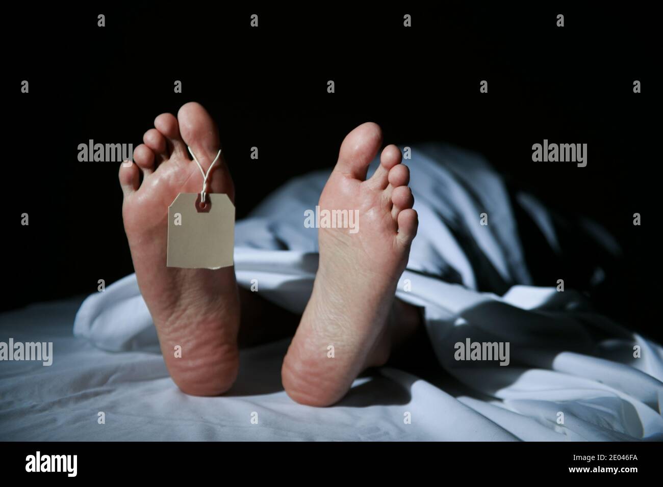 Morgue Feet High Resolution Stock Photography and Images - Alamy