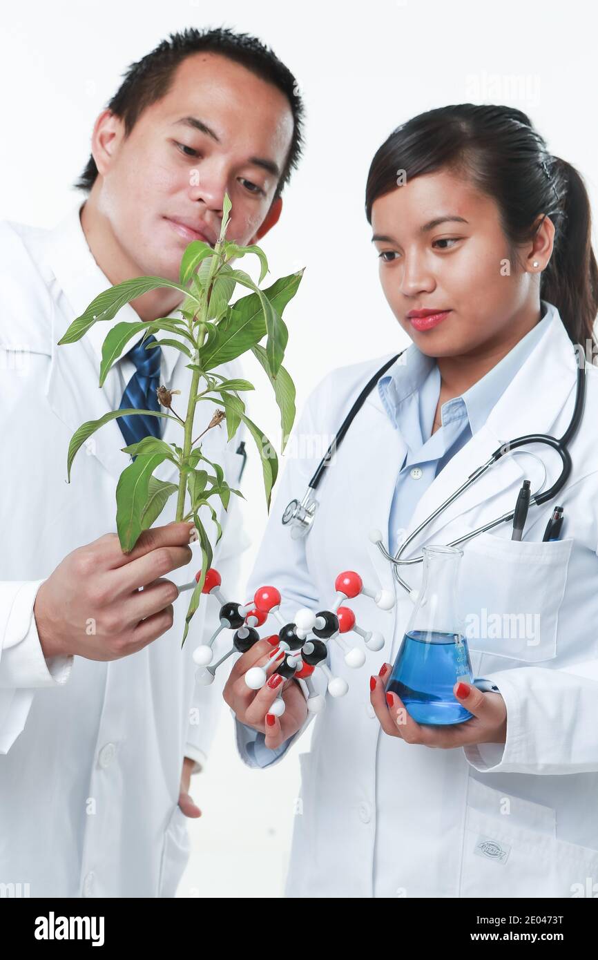 Doctors holding a herbal plant and chemicals Stock Photo - Alamy