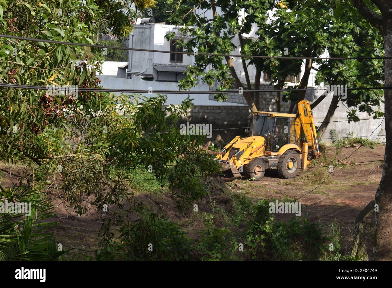Bulldozer clearing trees hi-res stock photography and images - Alamy