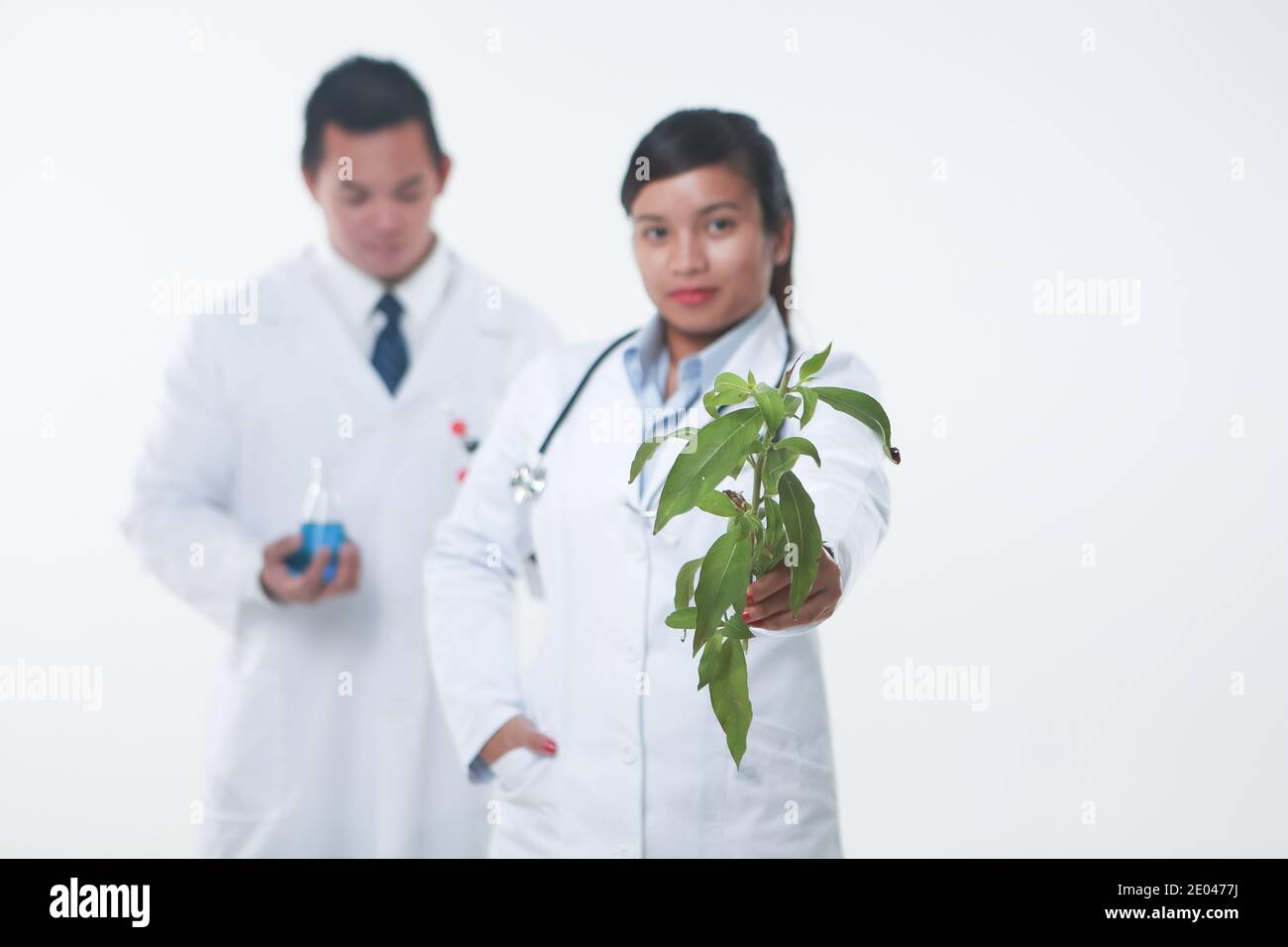 Doctors holding a herbal plant and chemicals Stock Photo - Alamy