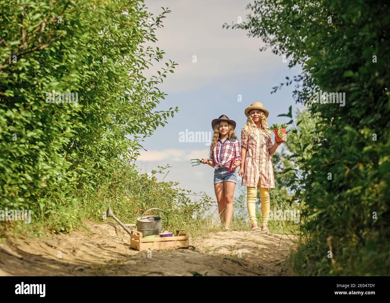 Kids siblings having fun at farm. Eco farming concept. Girls with ...