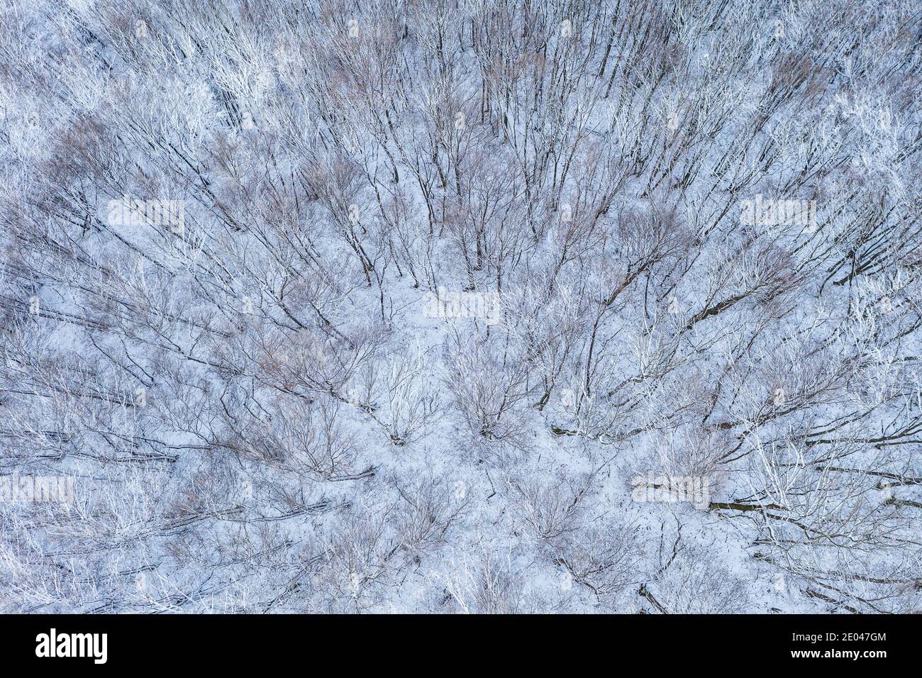 Winter aerial pattern hi-res stock photography and images - Alamy