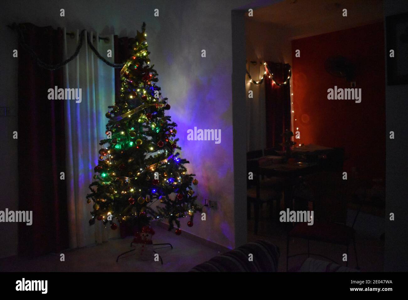 Christmas tree sri lanka hi-res stock photography and images - Alamy