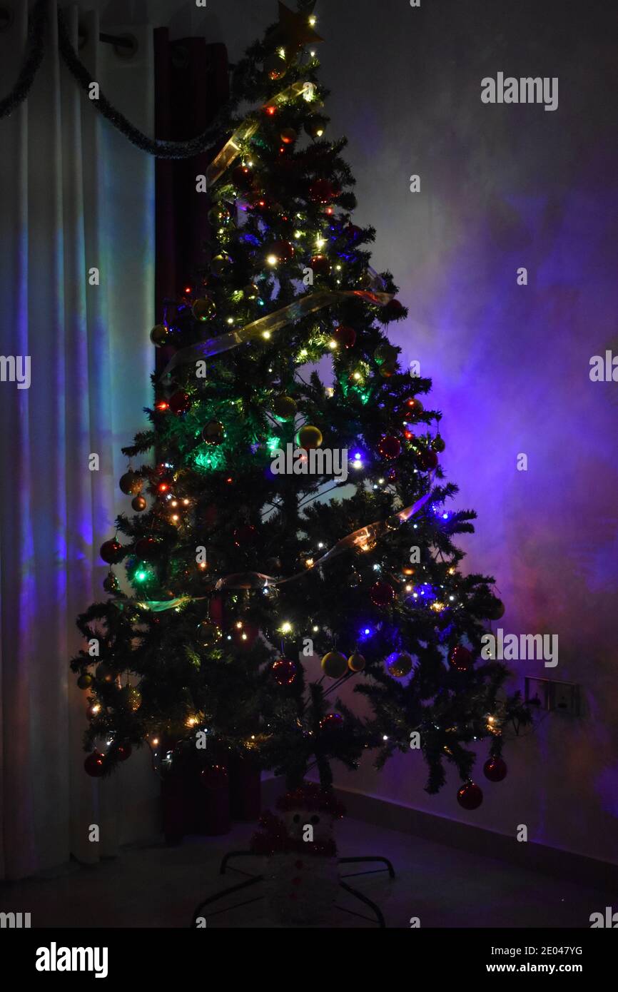 Christmas tree sri lanka hi-res stock photography and images - Alamy