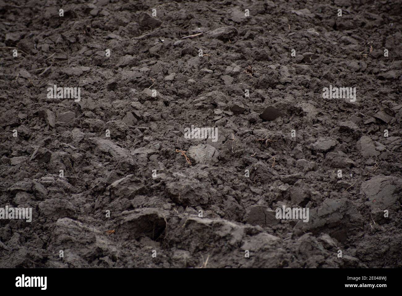 Plowed land texture Stock Photo - Alamy