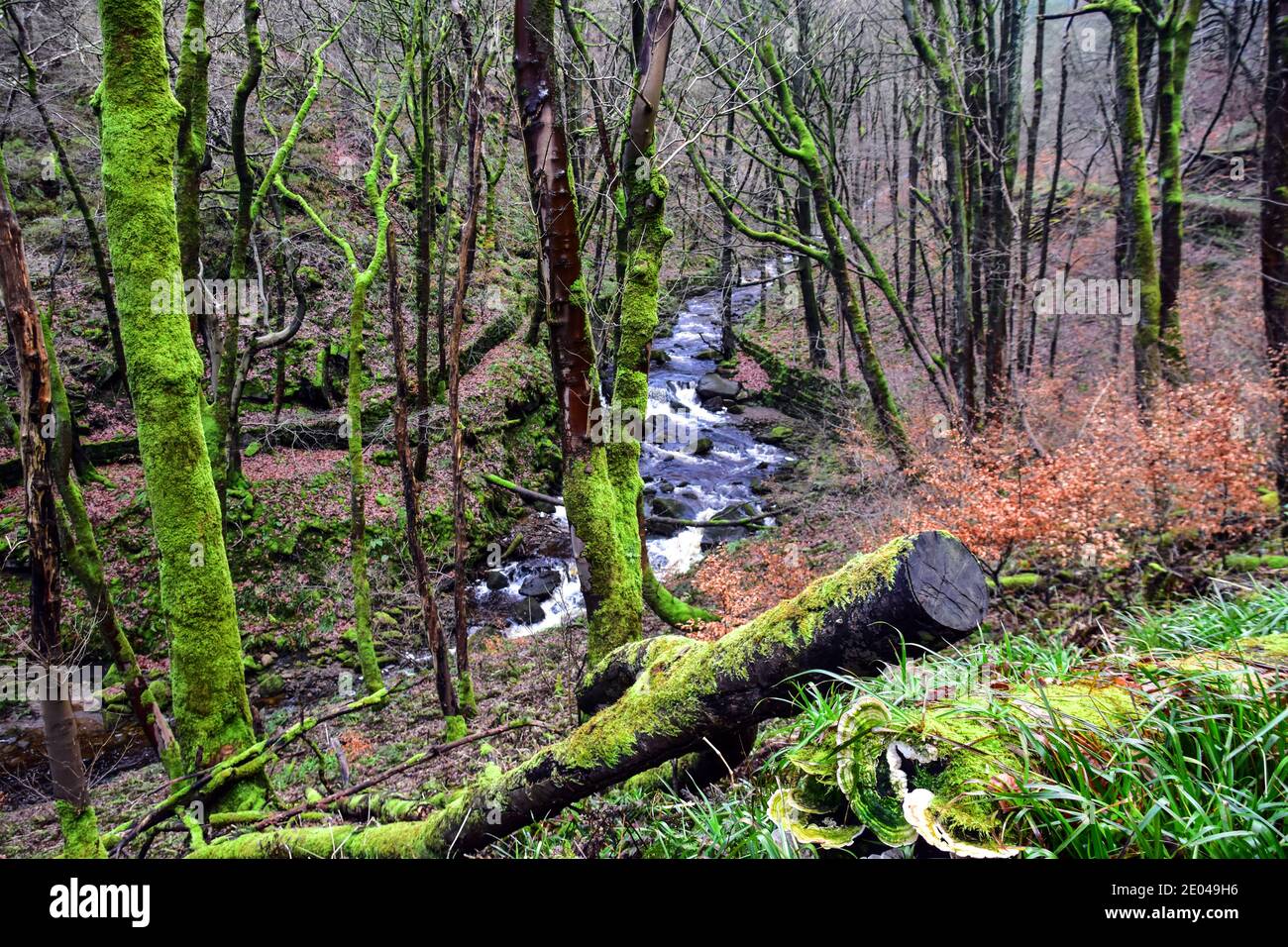 Crimsworth Dean, Hardcastle Crags, Hebden Bridge, Pennines, West ...