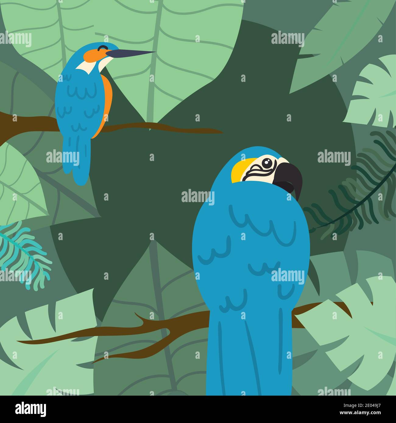 macaw and bird at jungle tree and leaves design, Animal zoo and life ...