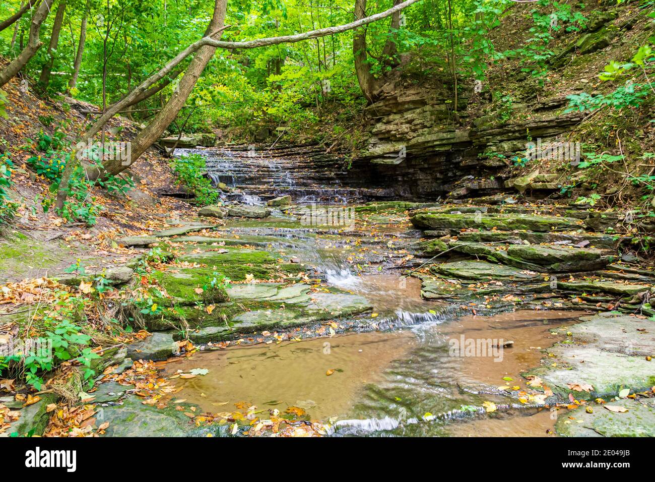 Niagara escarpment cliff limestone hi-res stock photography and images ...