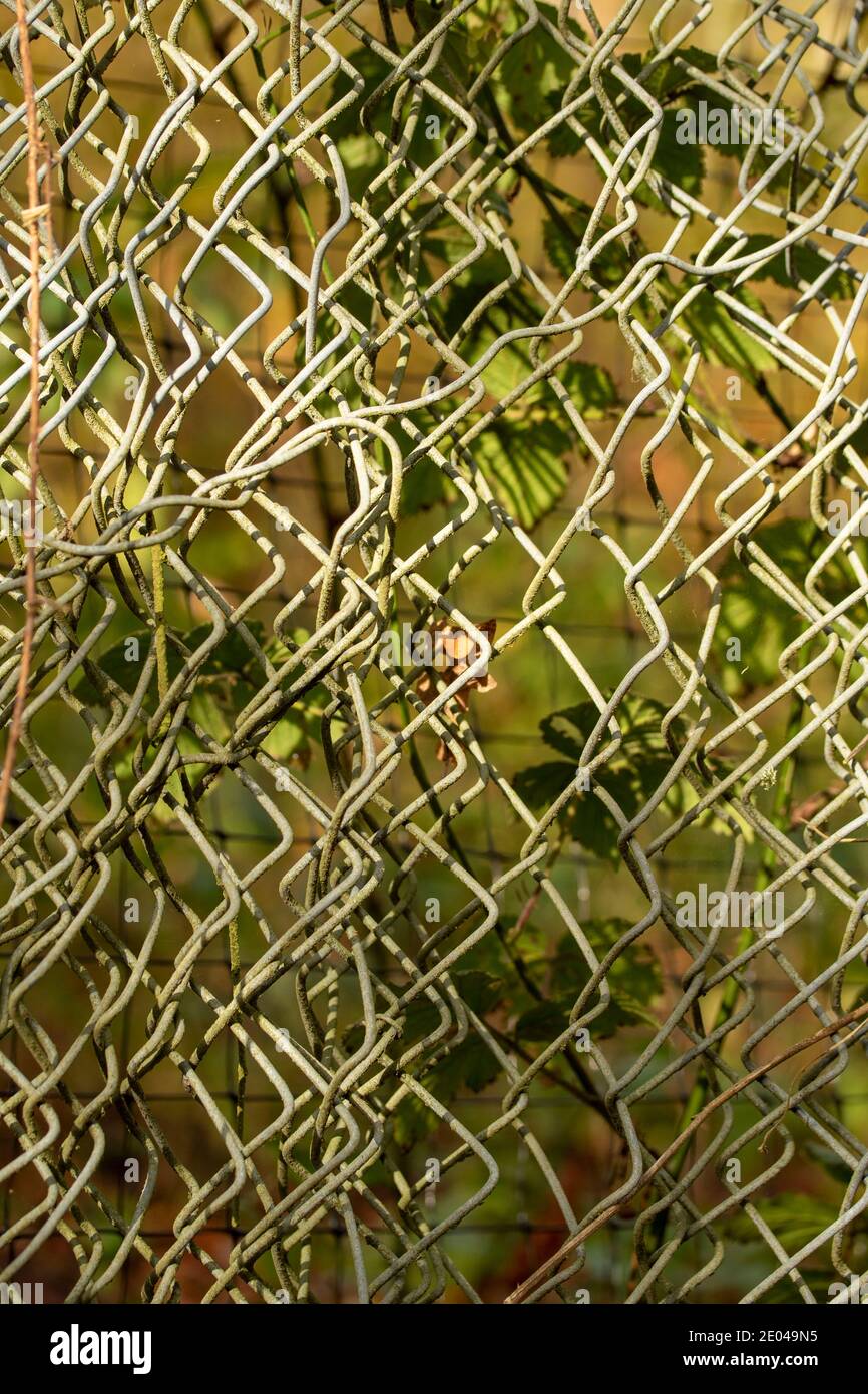 Interlinked Patterns High Resolution Stock Photography and Images - Alamy