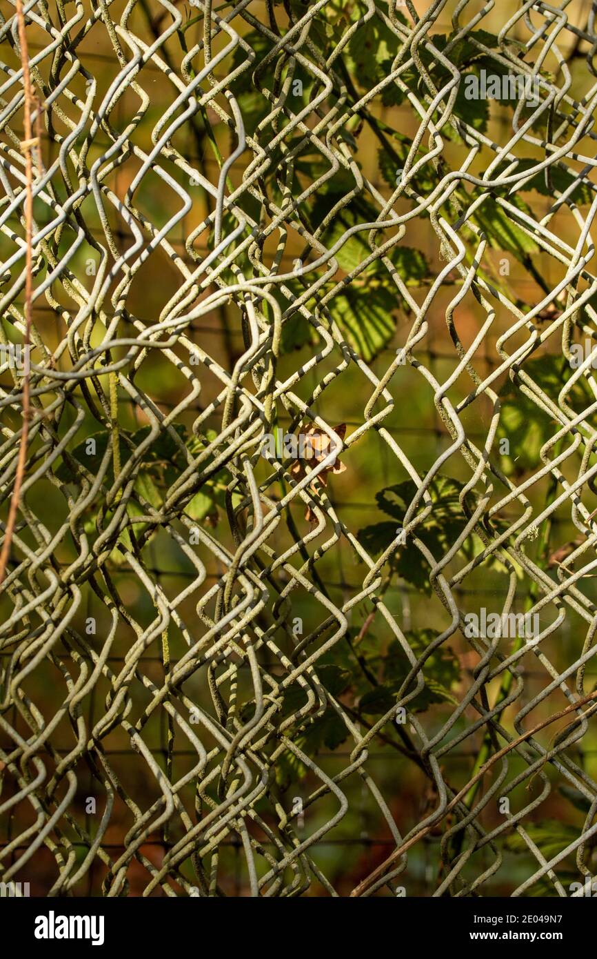 Interlinked Patterns High Resolution Stock Photography and Images - Alamy