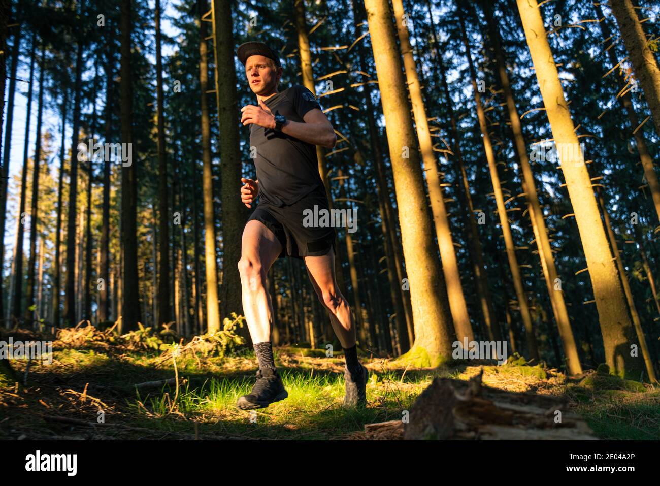 Trail Runner runs through the woods Stock Photo - Alamy