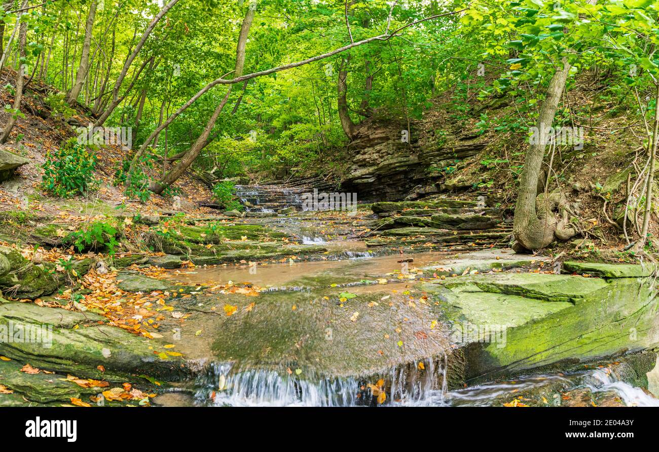 Niagara escarpment cliff limestone hi-res stock photography and images ...