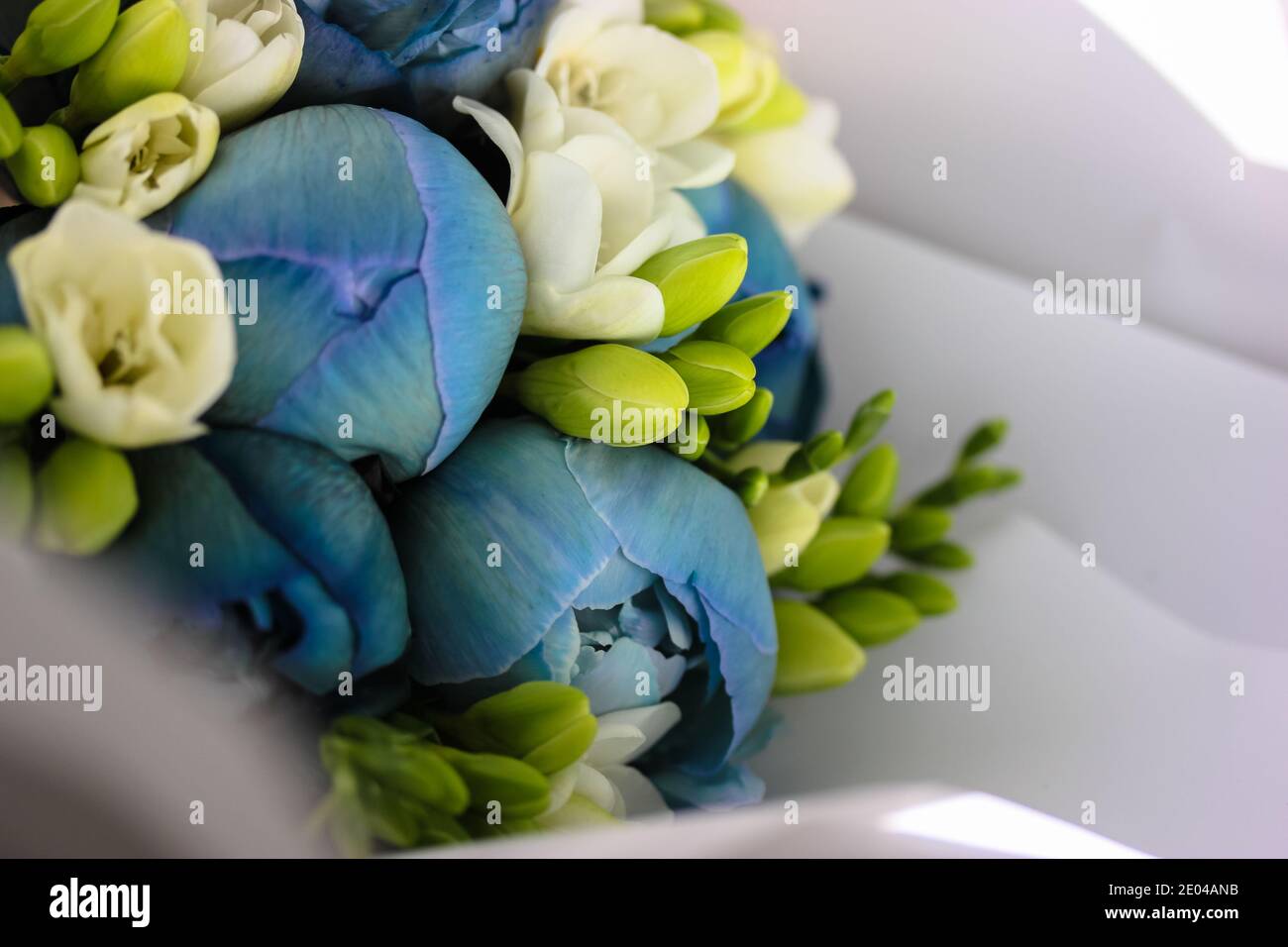 Luxurious wedding bouquet of blue peonies and white freesias in white ...