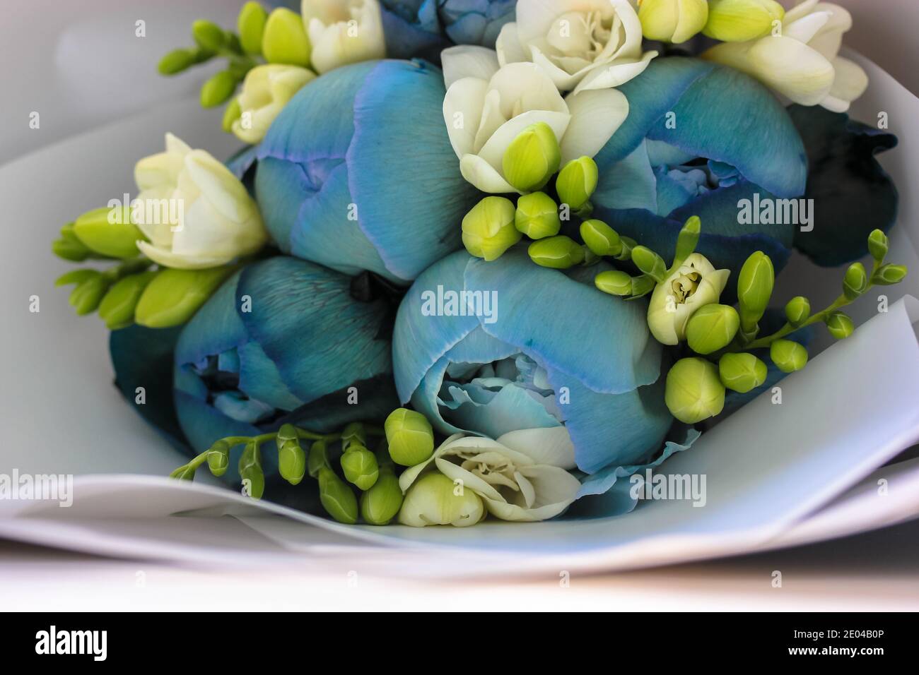 Luxurious wedding bouquet of blue peonies and white freesias in white ...