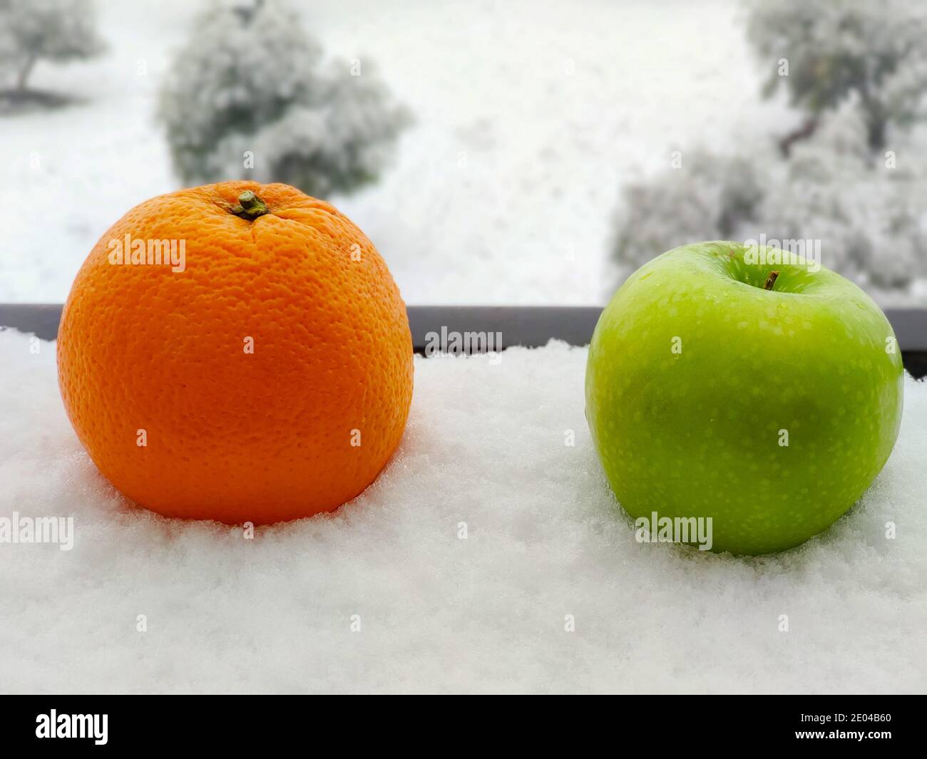 Mandarin orange snow hi-res stock photography and images - Alamy