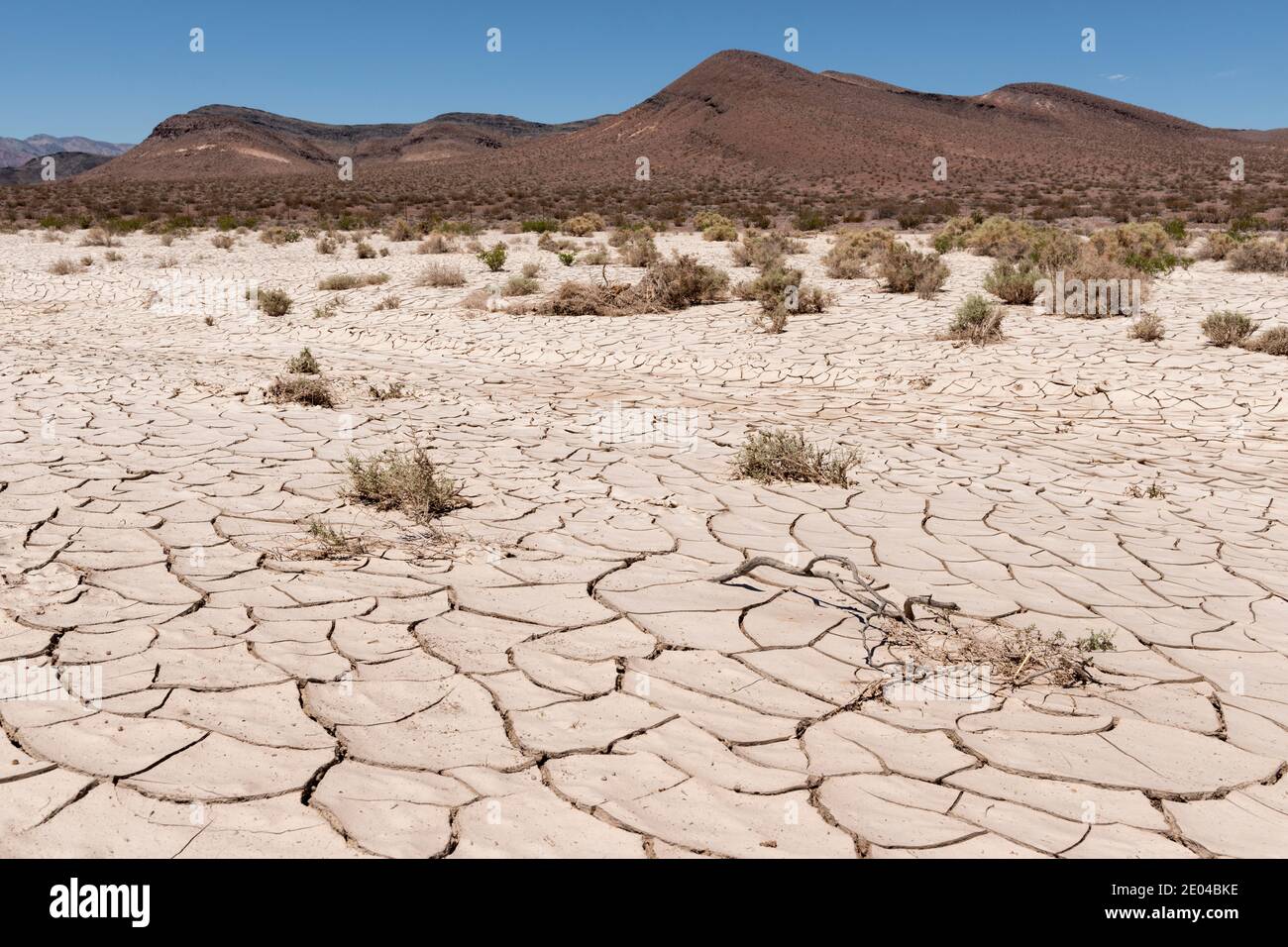 Dry and cracked ground with dry vegetation in the desert; concept for ...