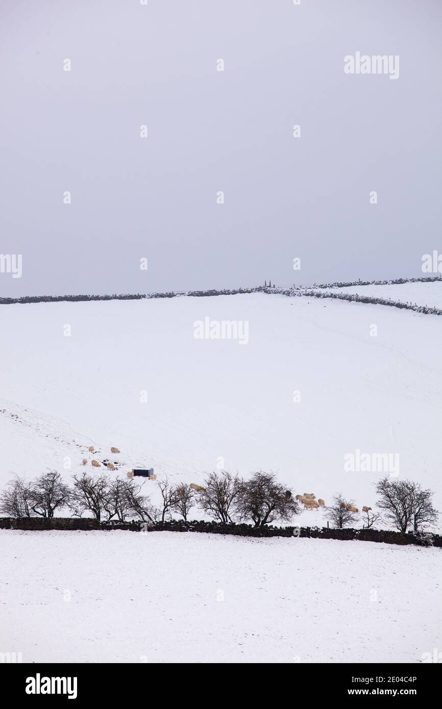 Winter scene fall heavy snow hi-res stock photography and images - Alamy