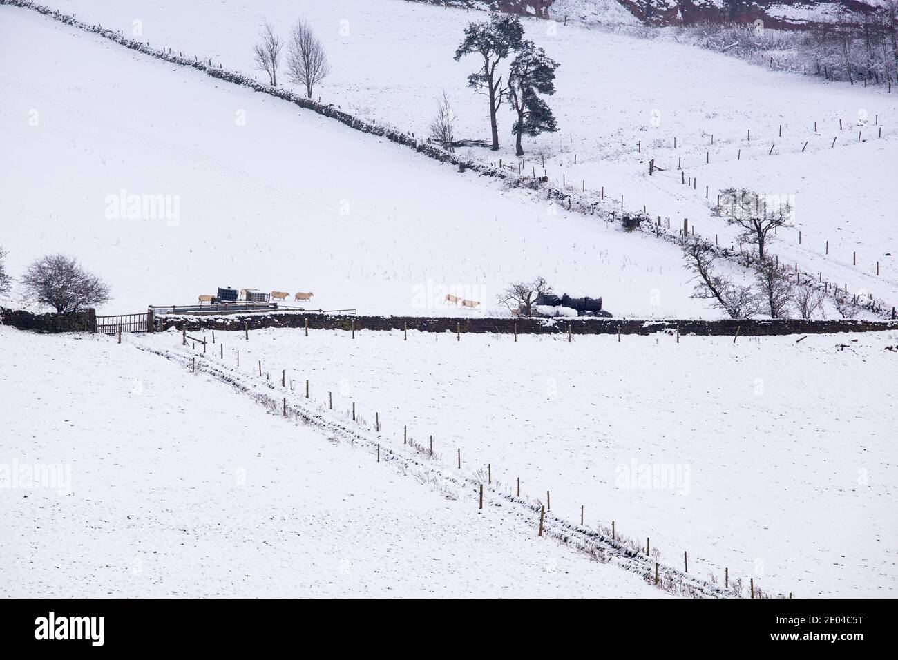 Cheshire farmland countryside after a heavy snow fall in winter Stock ...