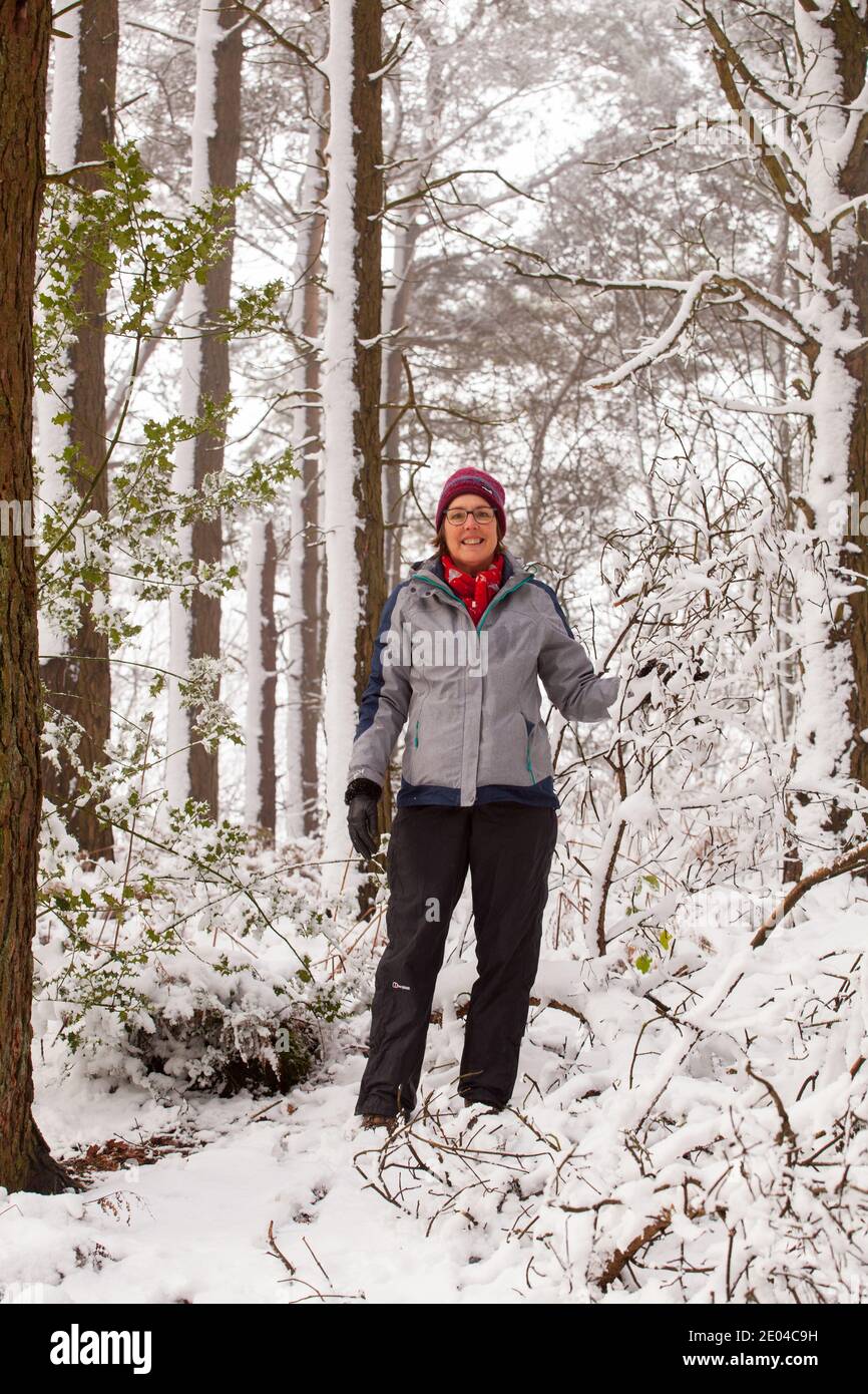 Woman walking along a path in snow covered woodland in winter on Bosley ...