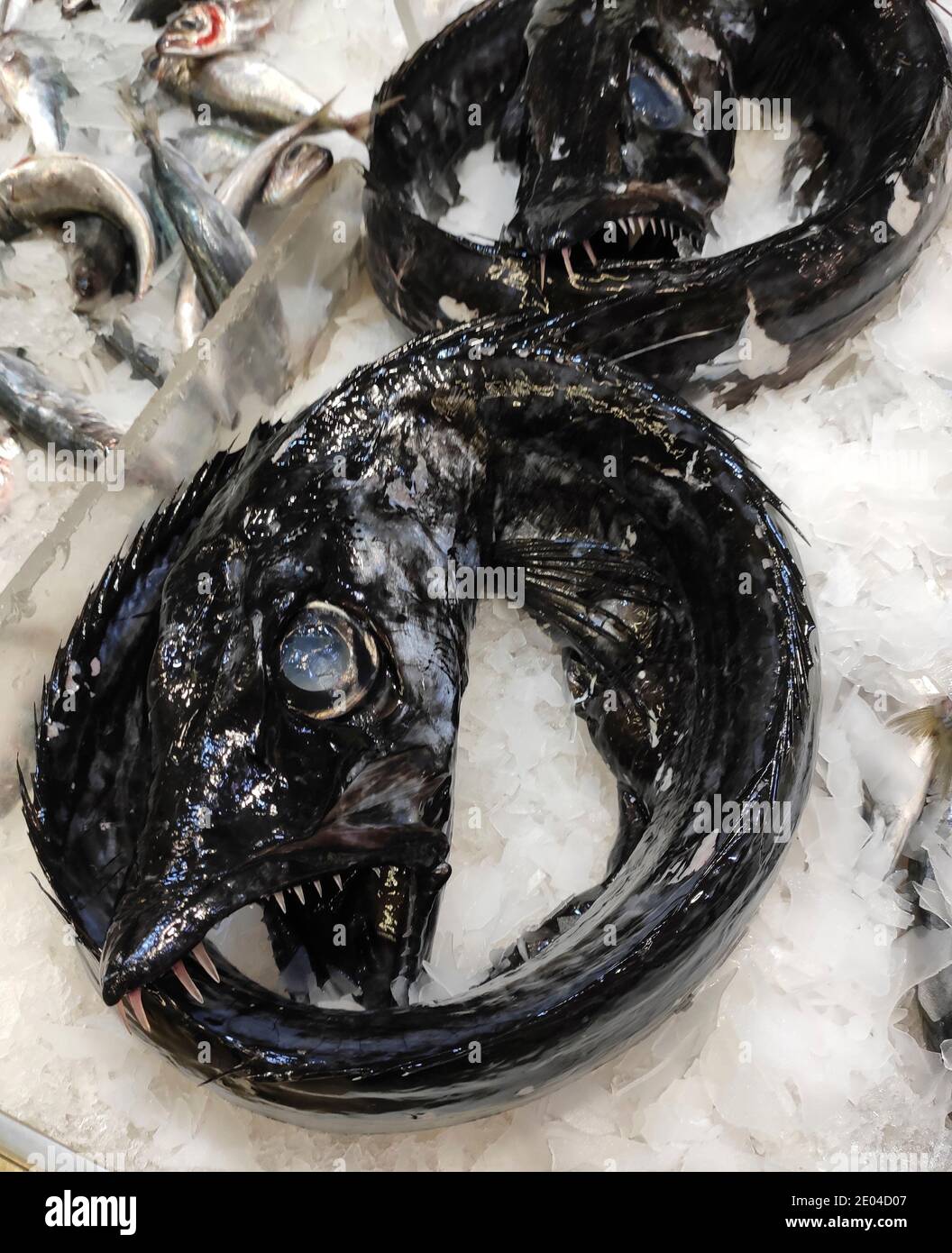 Black scabbard fish in funchal hi-res stock photography and images - Alamy