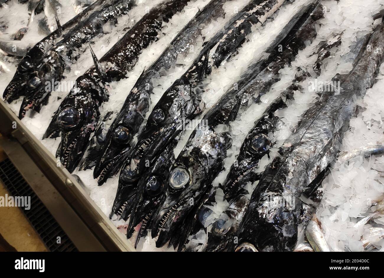 Aphanopus carbo - Black Scabbard Fish - on sale in Funchal Madeira ...