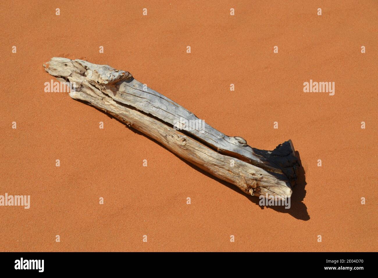 Wood branch chunk hi-res stock photography and images - Alamy